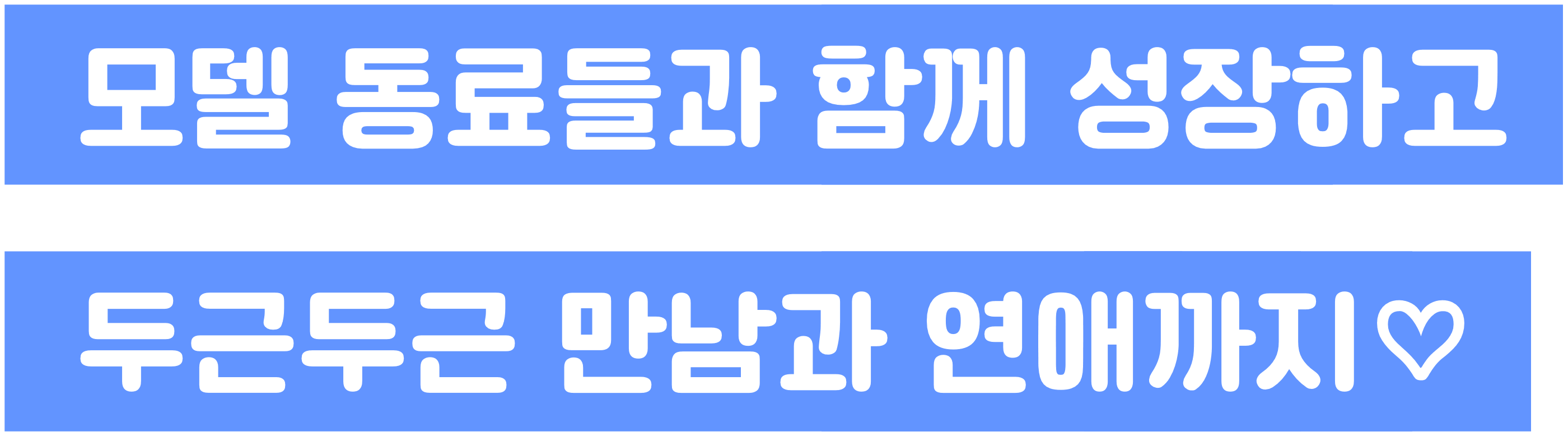 Nintendo Switch｜MODEL Debut 3 #nicola/모델 데뷔 3 니콜라